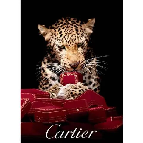 cartier leopard